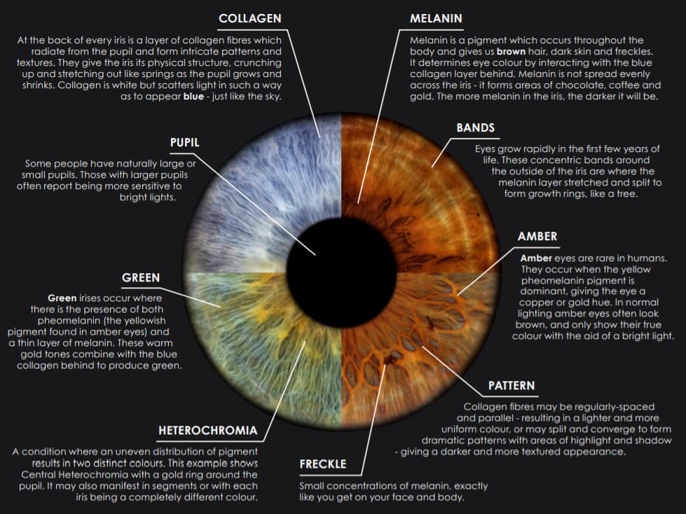 Iris Liveness Detection Approaches Antispoofing Wiki
